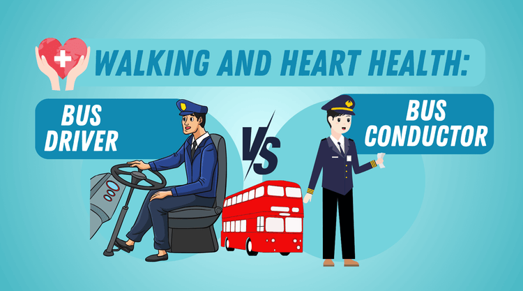 Walking and Heart Health: Bus Drivers versus Bus Conductors – Jetti